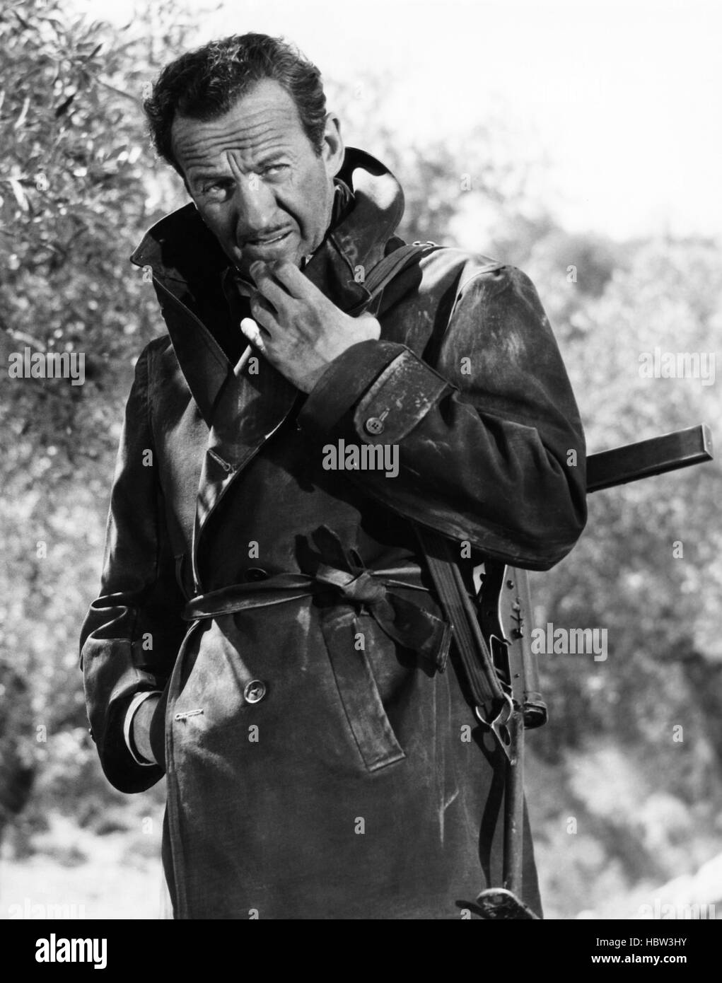 THE GUNS OF NAVARONE, David Niven, 1961 Stock Photo - Alamy