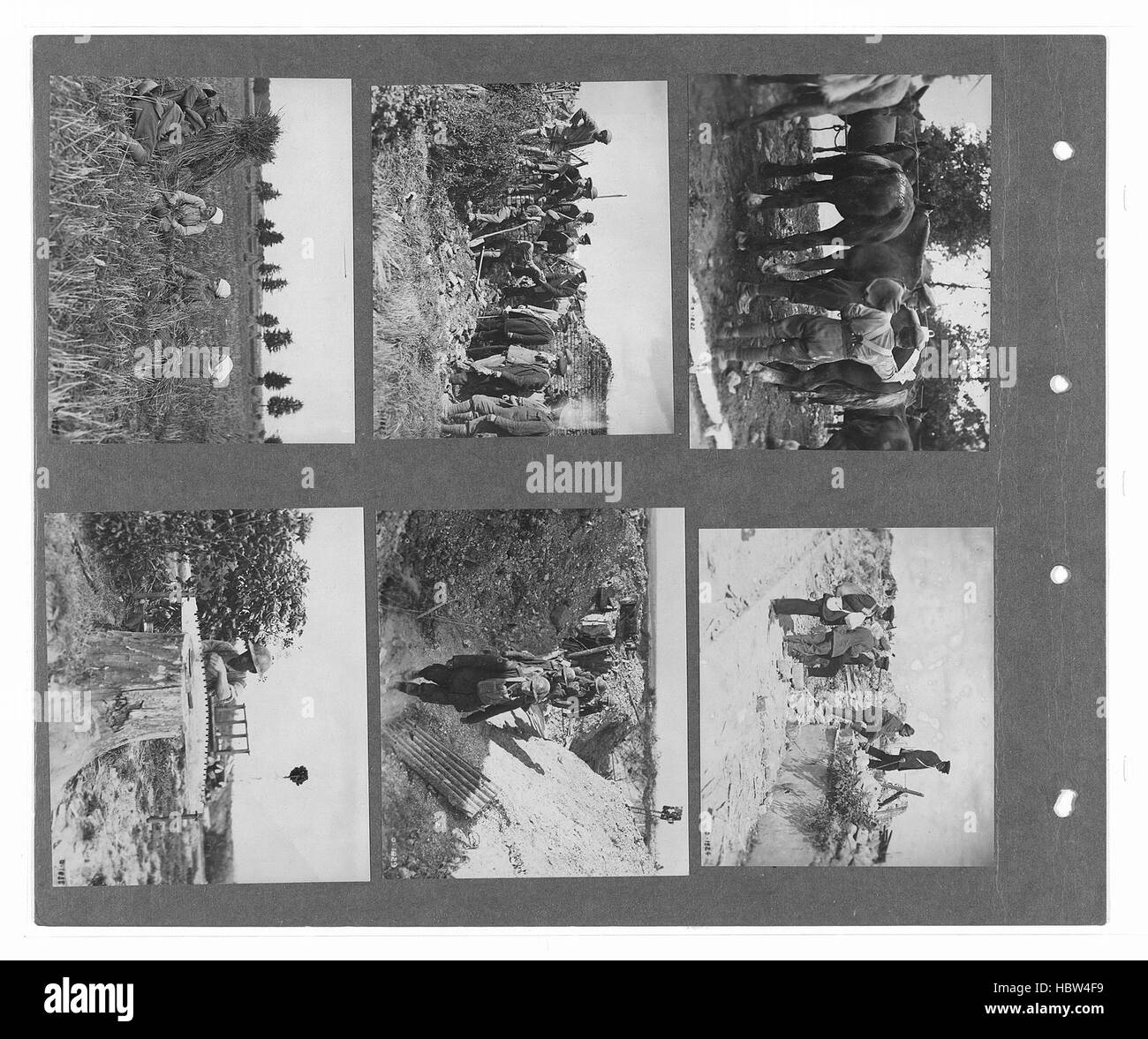 Military operations in europe Cut Out Stock Images & Pictures - Alamy