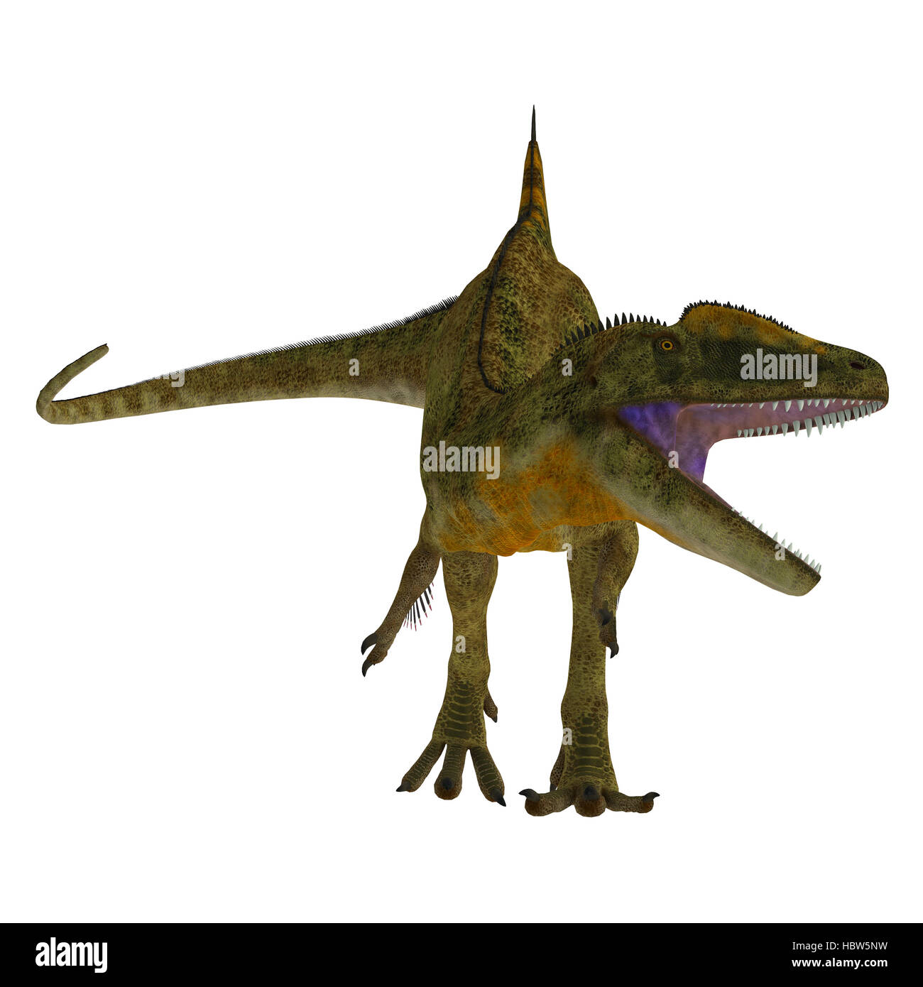 Concavenator Primeval