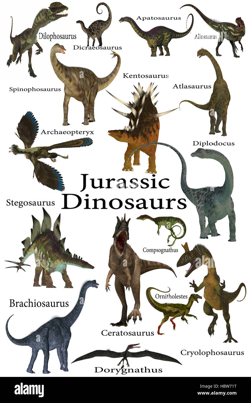 Carnivorous dilophosaurus dinosaurs hi-res stock photography and images ...