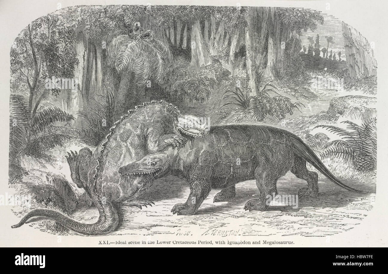 Life before dinosaurs hi-res stock photography and images - Alamy