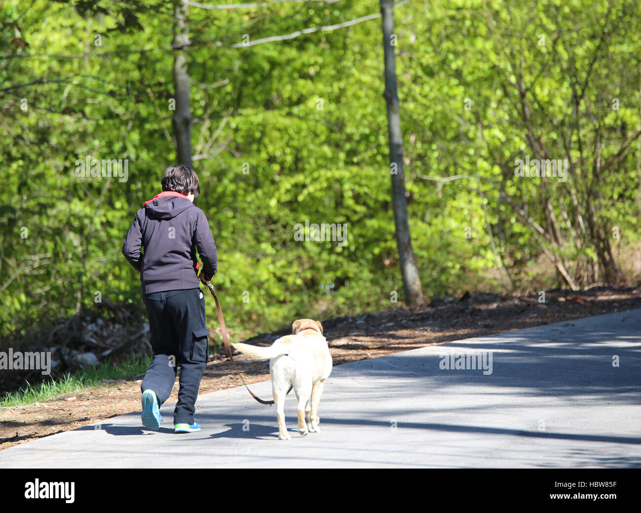 young boy walking on the road in the woods with his dog Labrador ...
