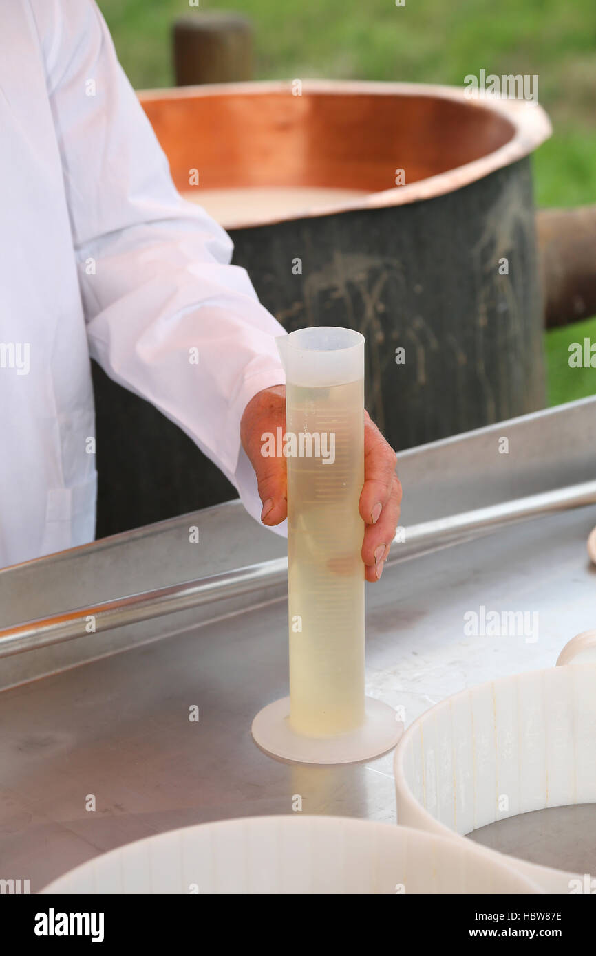 cheesemaker takes a plastic tube with the rennet to production cheese ...