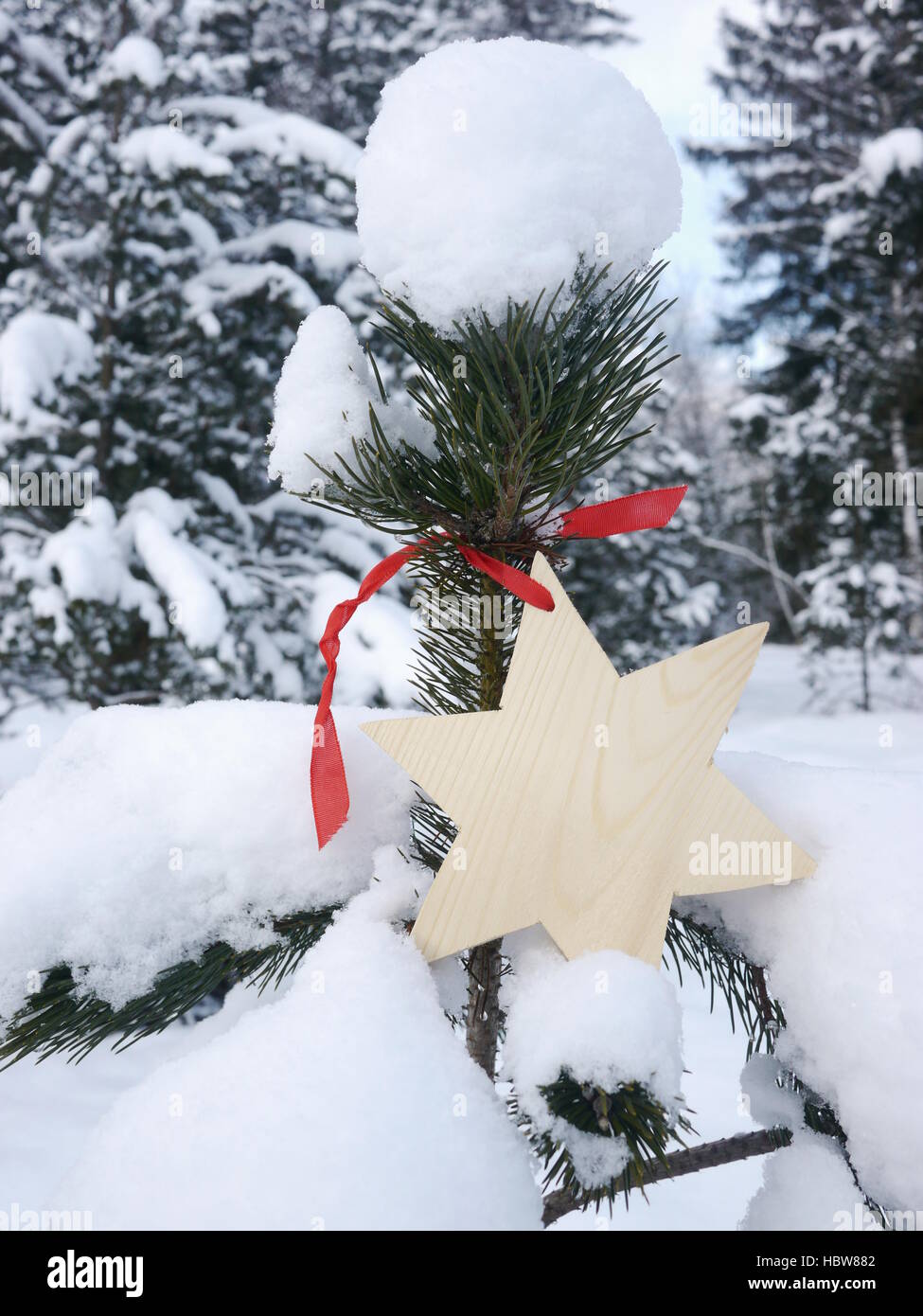 German christmas tree hi-res stock photography and images - Alamy
