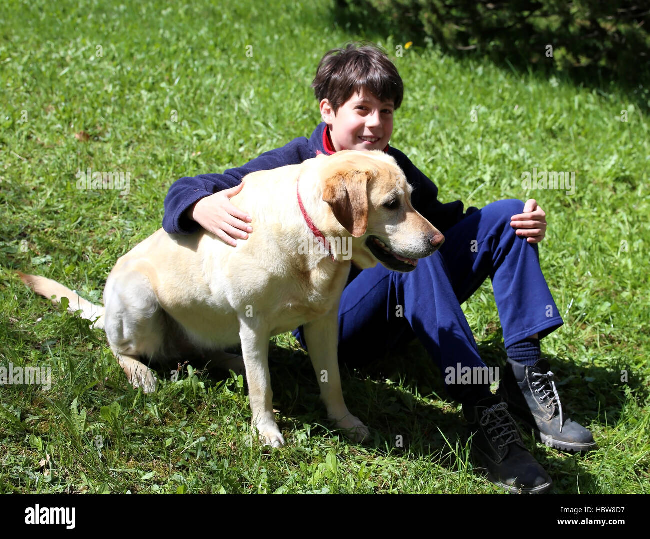 cute little boy with his dog on the lawn Stock Photo - Alamy