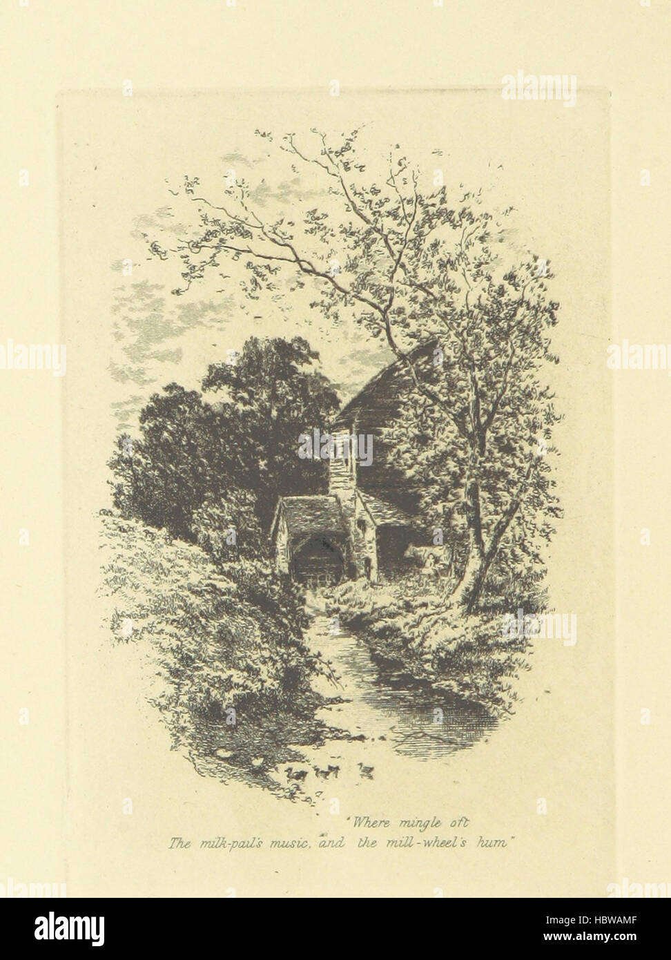 The Dawning Grey ... With illustrations by the author. [Verses.] Image ...