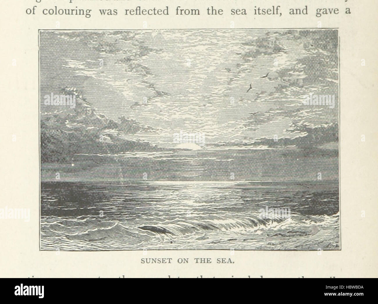 Kenneth McAlpine: a tale of mountain, moorland, and sea Image taken ...