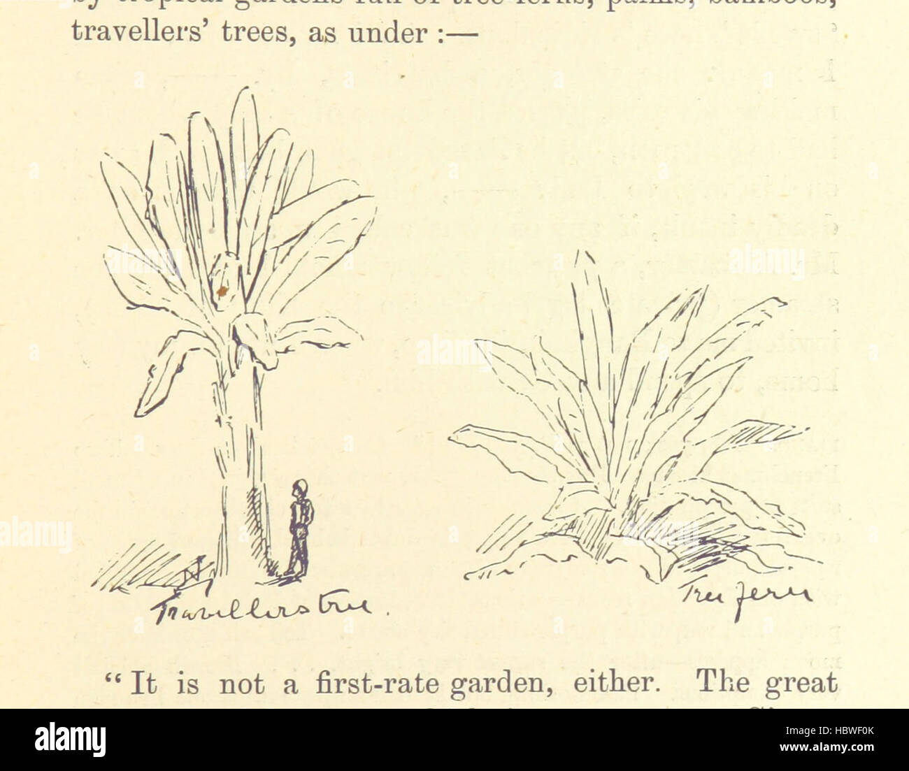 North Borneo. Explorations and adventures on the Equator ... With ...