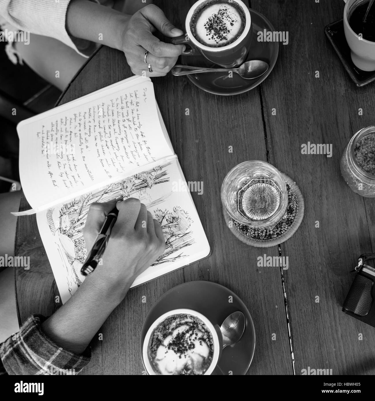 Jungle environment drawing Black and White Stock Photos & Images - Alamy