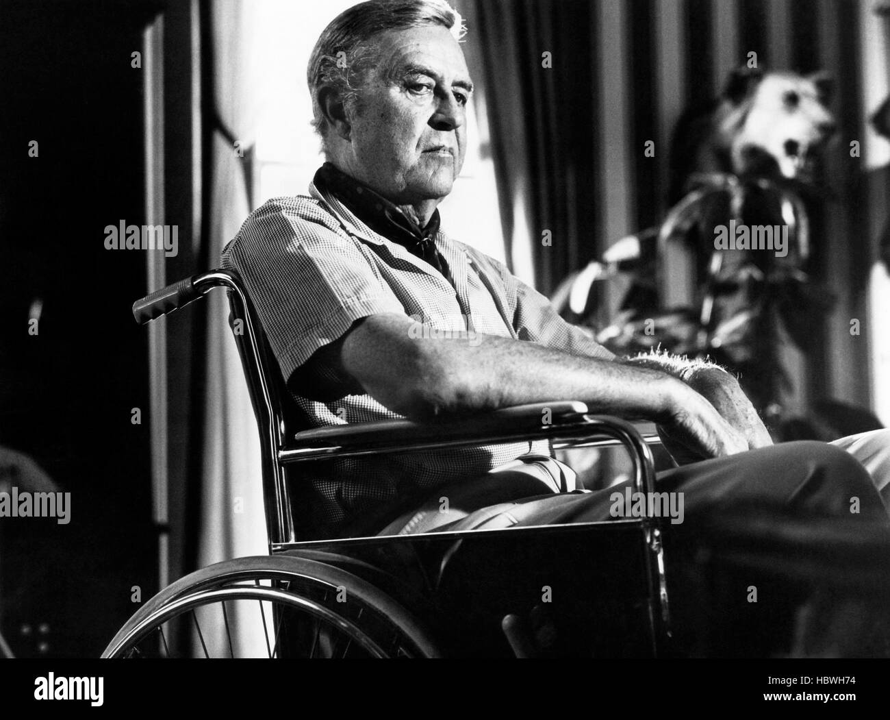 FROGS, Ray Milland, 1972 Stock Photo - Alamy