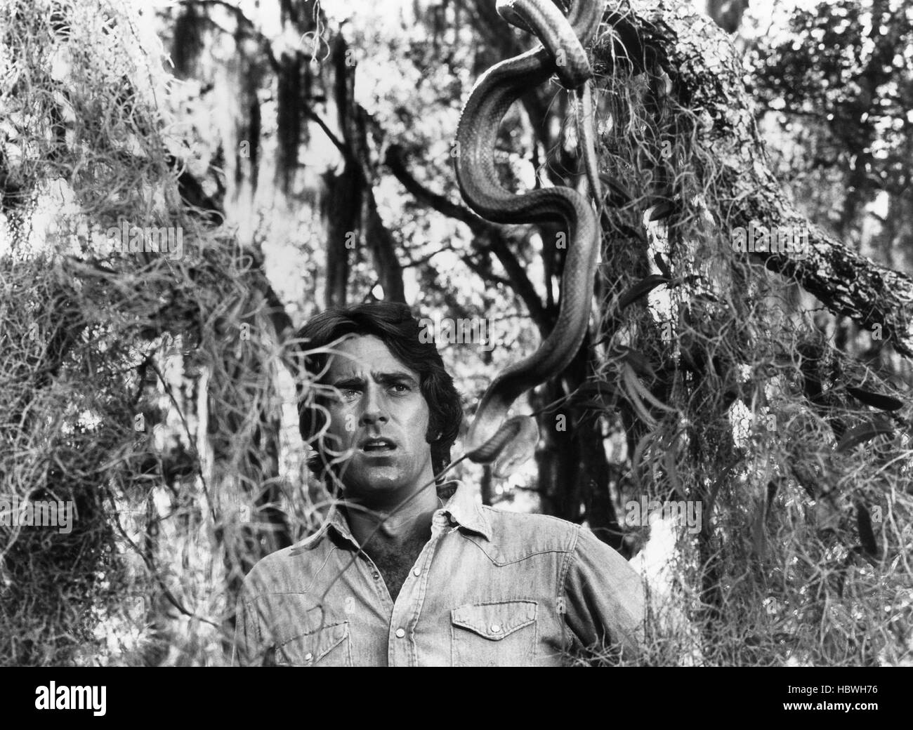 FROGS, Sam Elliott, 1972 Stock Photo - Alamy