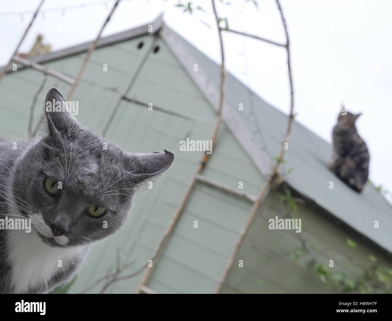 Standoff hi-res stock photography and images - Alamy