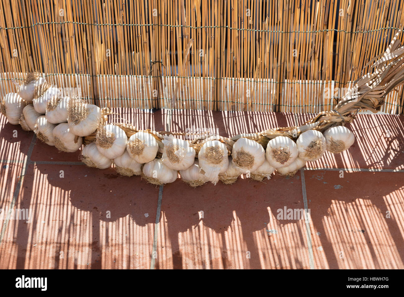 Neapolitan garlic braid leaning against the wall Stock Photo - Alamy