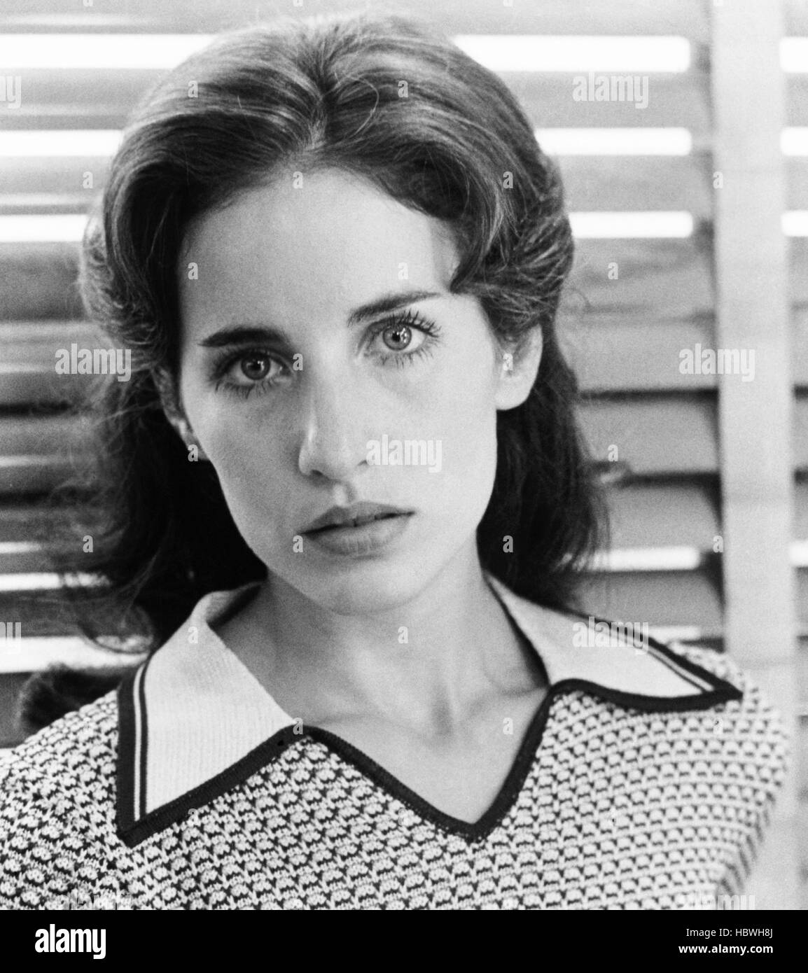 THE FRONT, Andrea Marcovicci, 1976 Stock Photo - Alamy