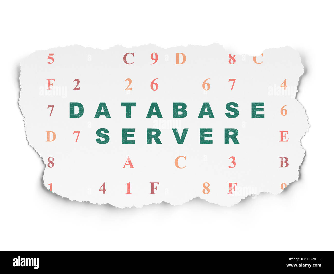 Software concept: Database Server on Torn Paper background Stock Photo ...