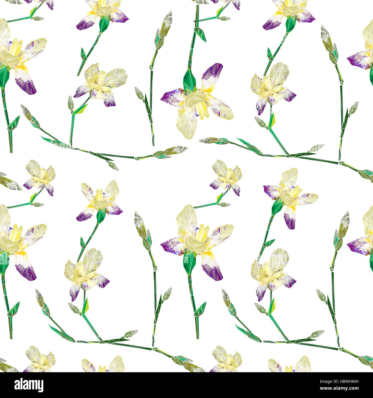 Iris pattern hi-res stock photography and images - Alamy