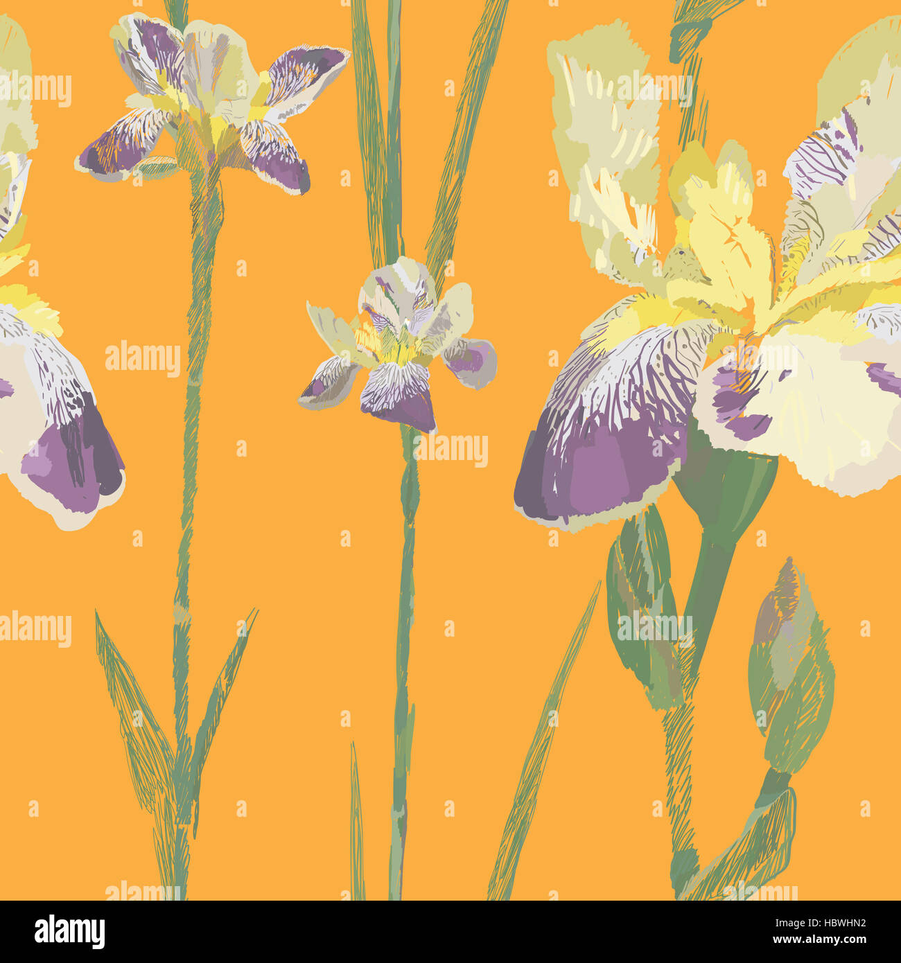 Iris pattern hi-res stock photography and images - Alamy