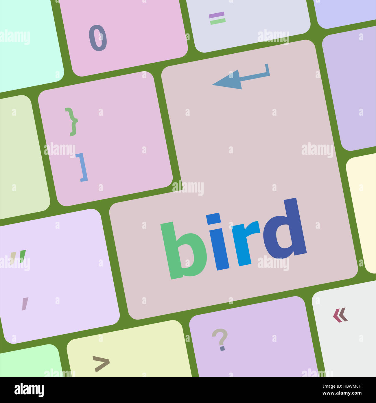 Button keyboard key, keypad with bird word Stock Photo - Alamy
