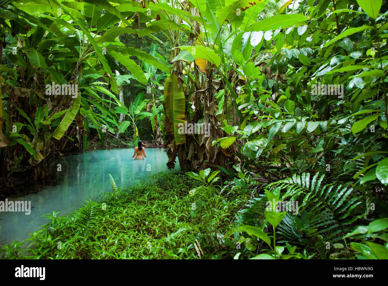 All natural jungle pool hi-res stock photography and images - Alamy