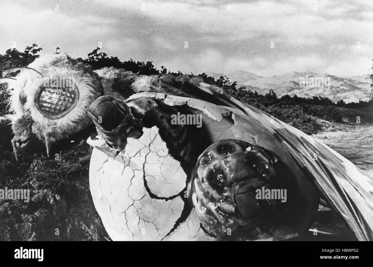 GODZILLA VS. MOTHRA, (aka MOSURA TAI GOJIRA, aka GODZILLA VS. THE THING ...