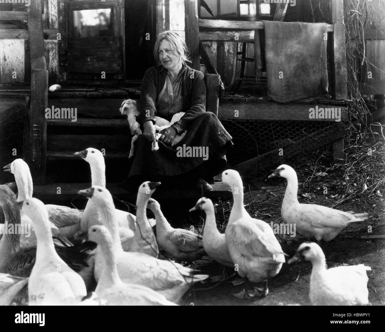 THE GOOSE WOMAN, Louise Dresser, 1925 Stock Photo - Alamy