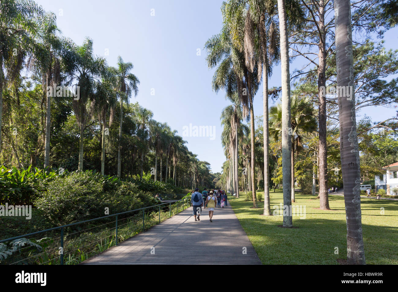 Botanical garden of sao paulo hi-res stock photography and images - Alamy