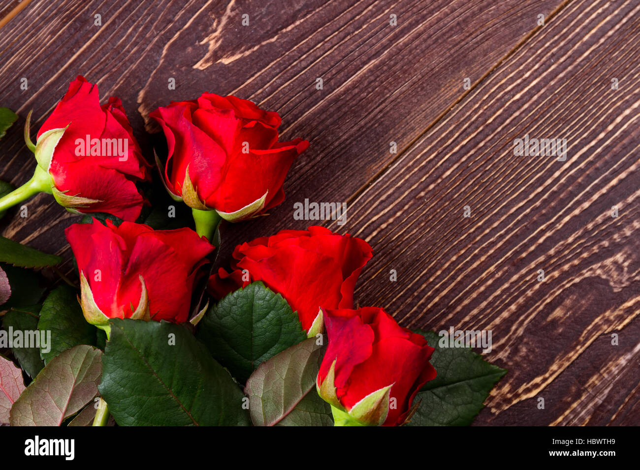 Surface flora hi-res stock photography and images - Alamy
