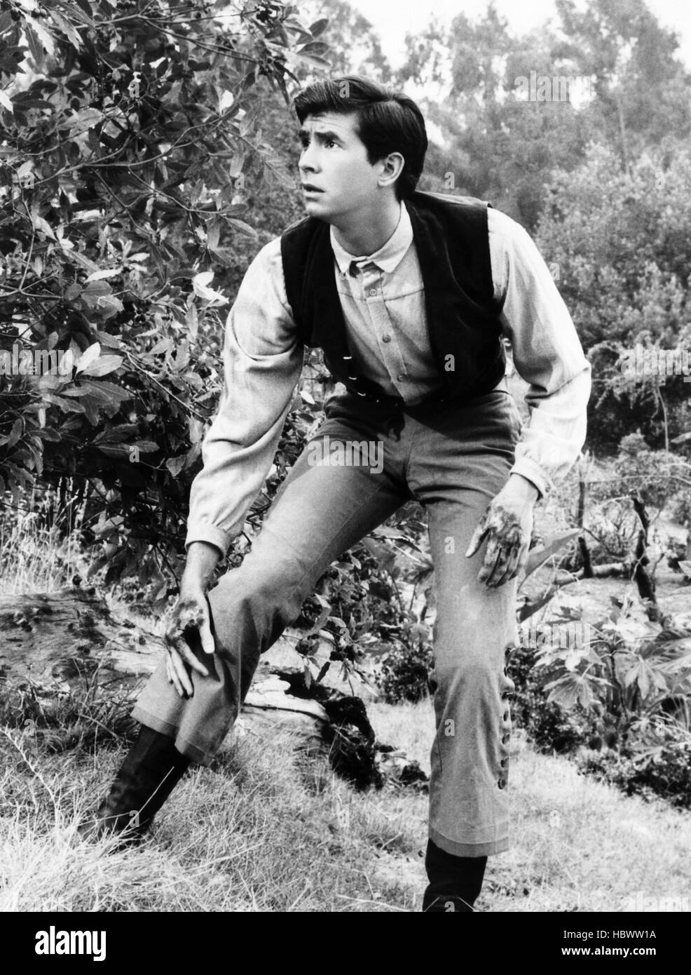 GREEN MANSIONS, Anthony Perkins, 1959 Stock Photo - Alamy