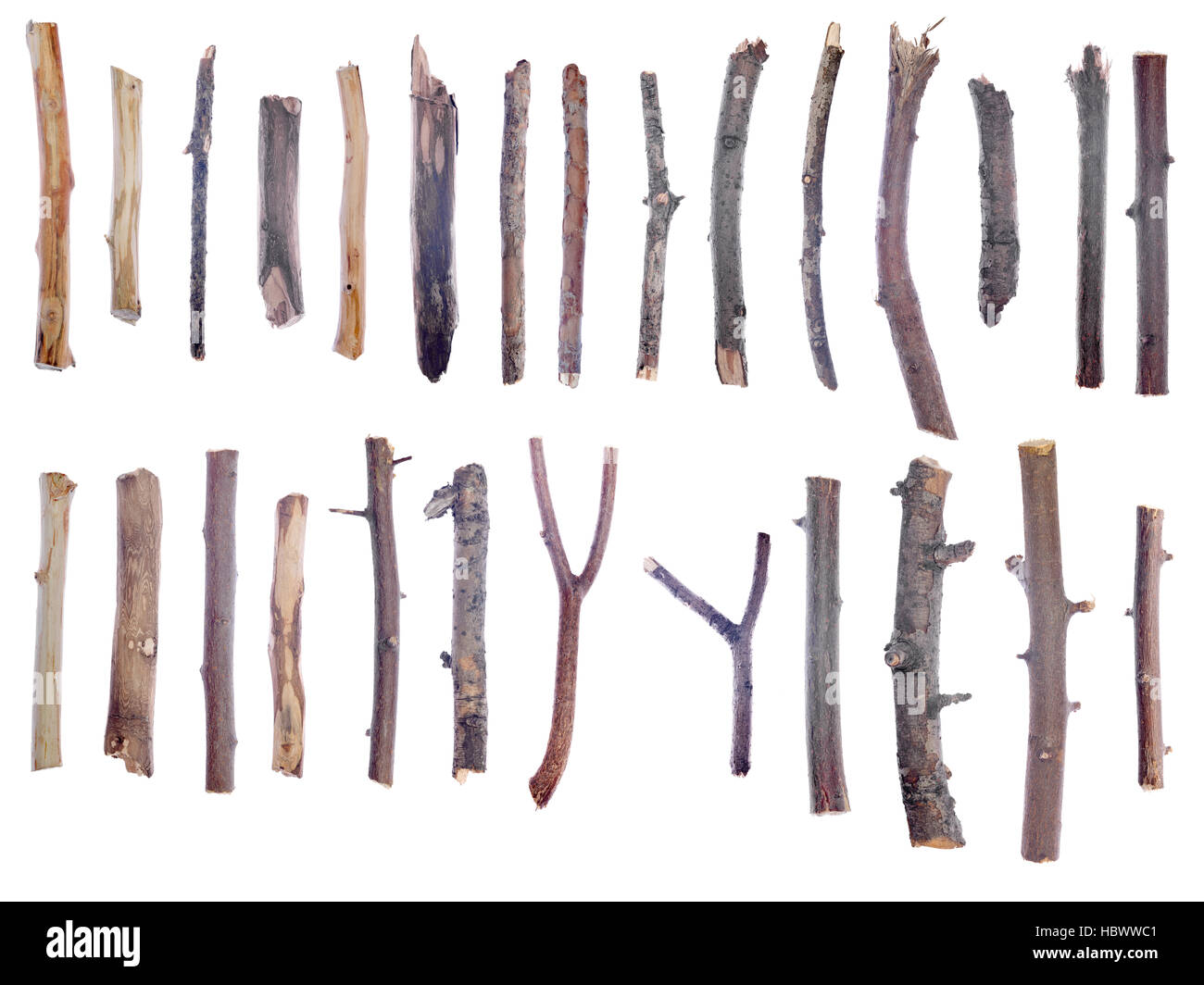 Dry twig hi-res stock photography and images - Alamy