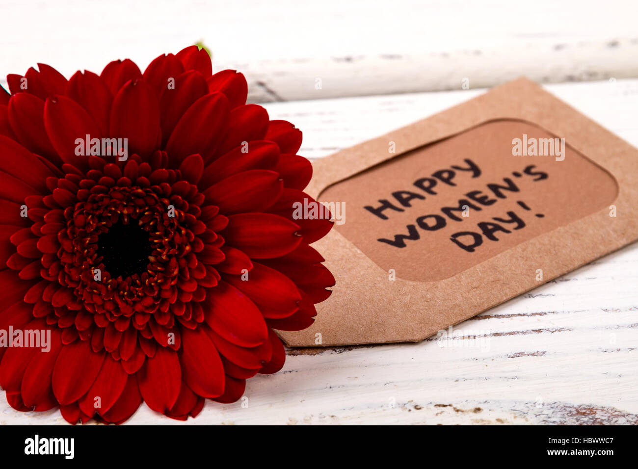 Red flower and greeting tag Stock Photo - Alamy