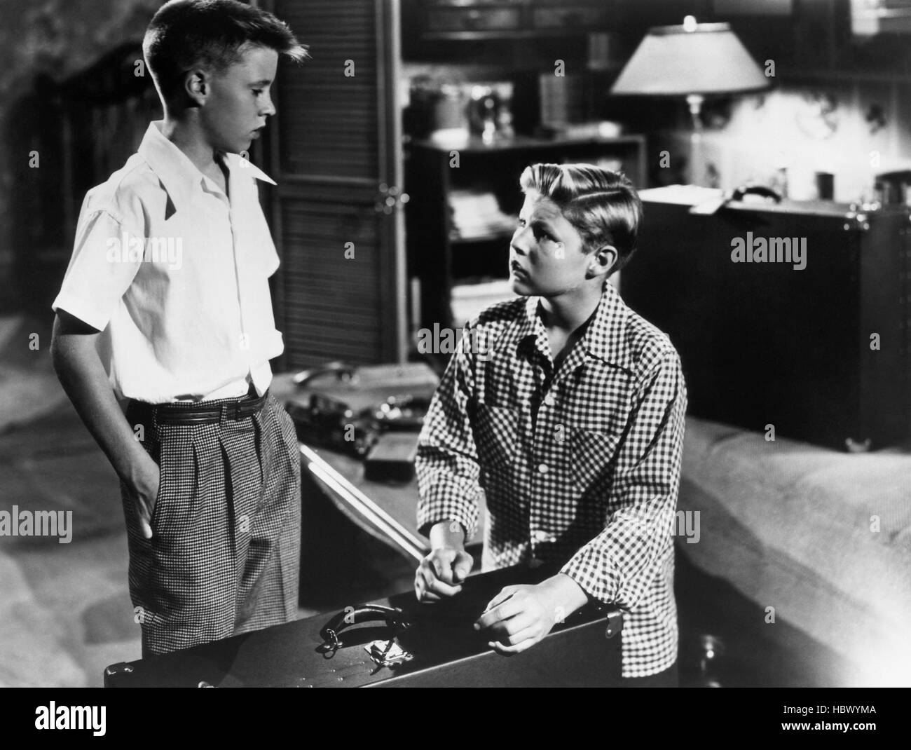 HERE COME THE NELSONS, Ricky Nelson, David Nelson, 1852 Stock Photo - Alamy