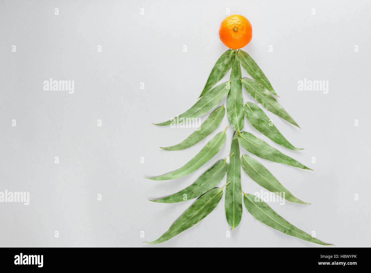Christmas tree made of eucaliptus leaves and mandarin. Flat lay ...