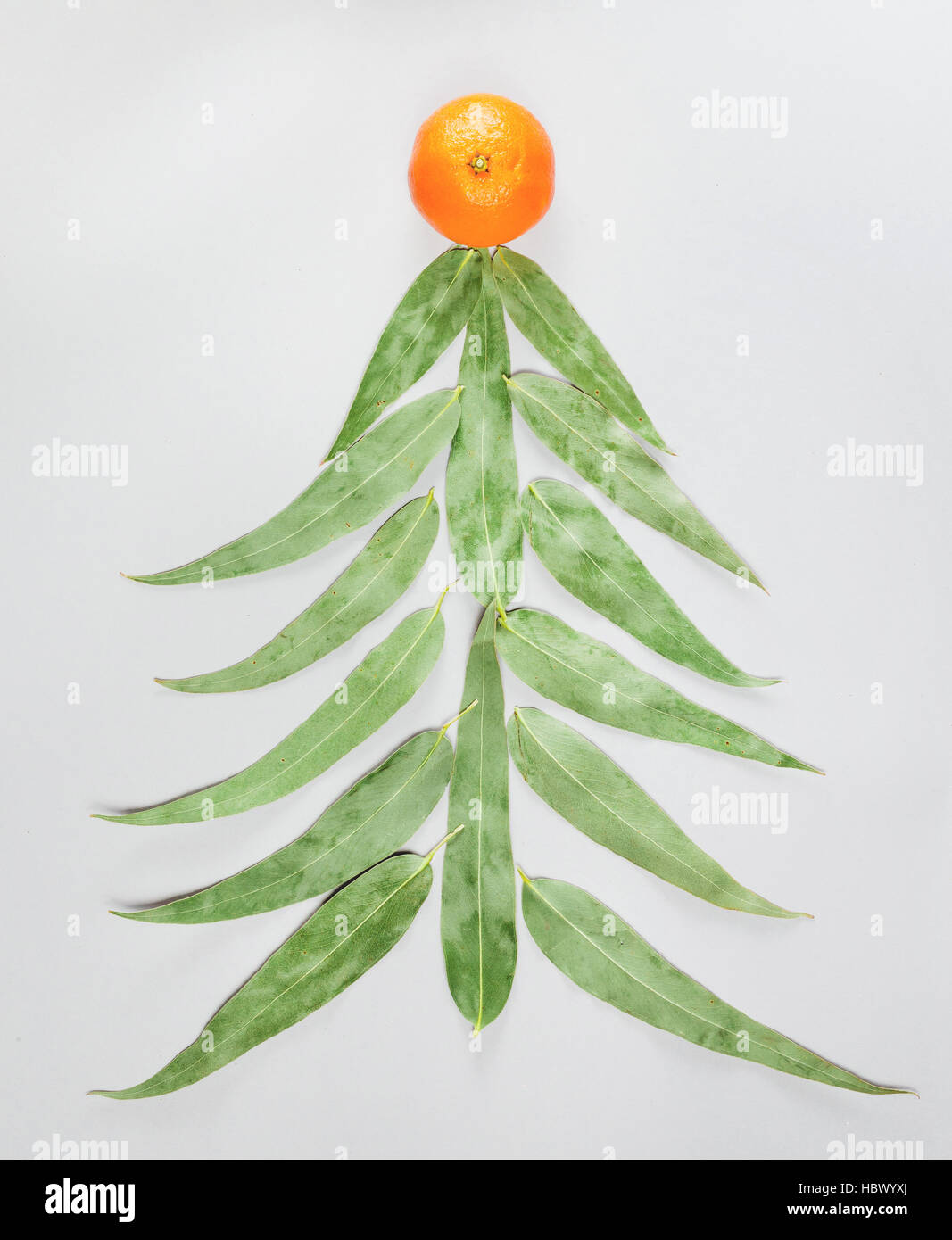 Christmas and new year tree made of eucaliptus leaves mandarin on light ...
