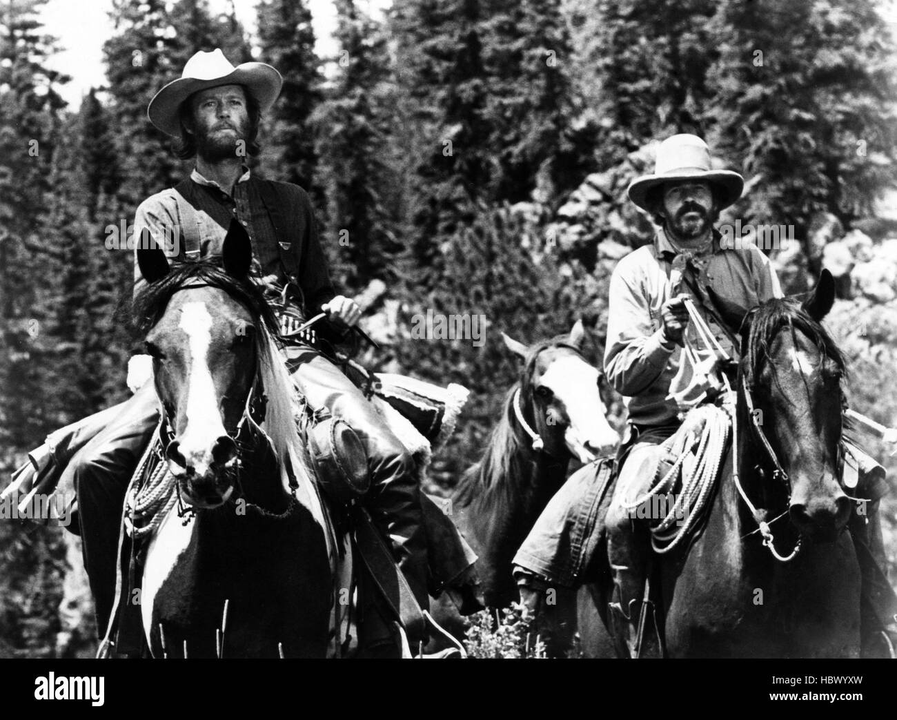 THE HIRED HAND, Peter Fonda, Warren Oates, 1971 Stock Photo - Alamy