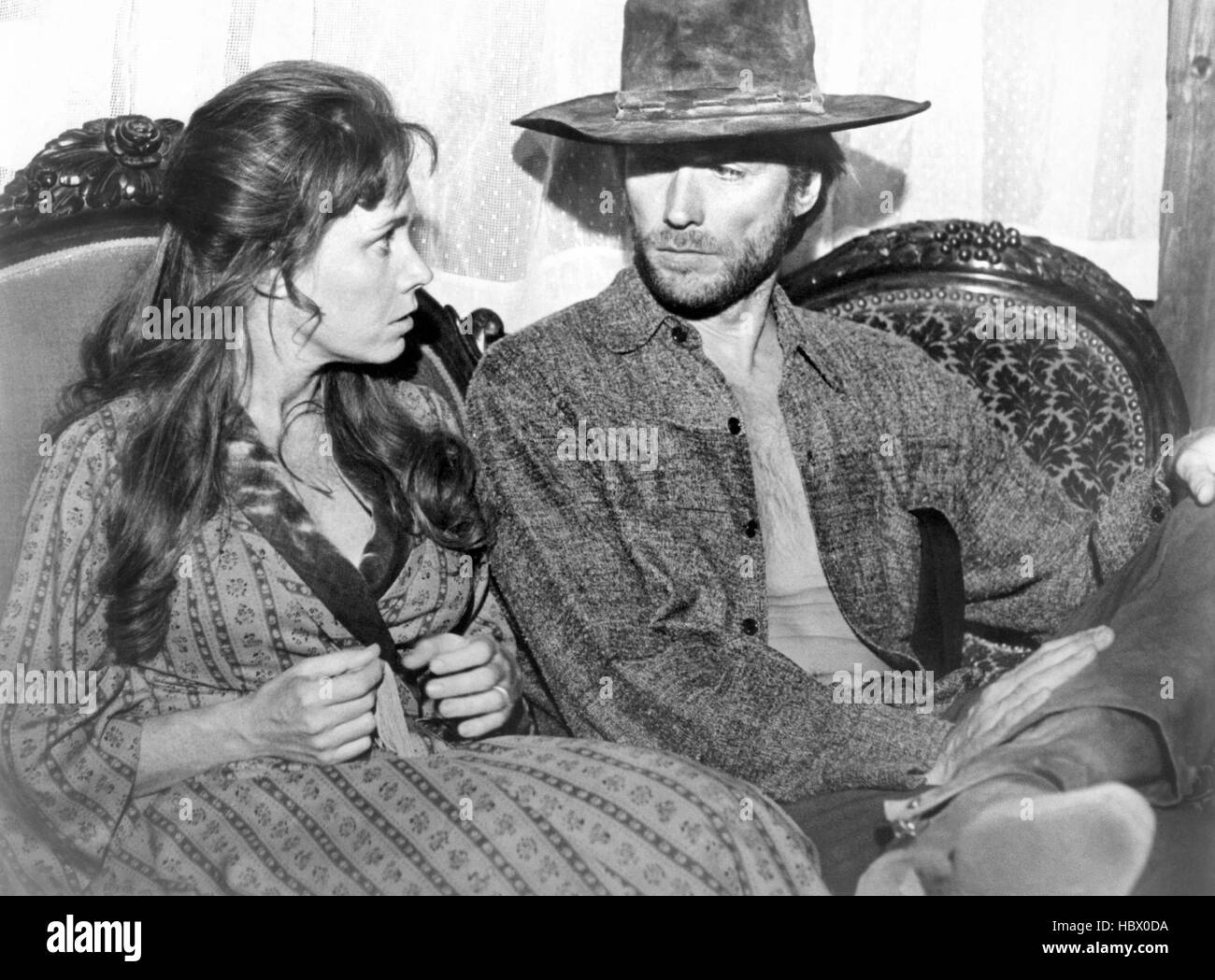 Verna bloom high plains hi-res stock photography and images - Alamy