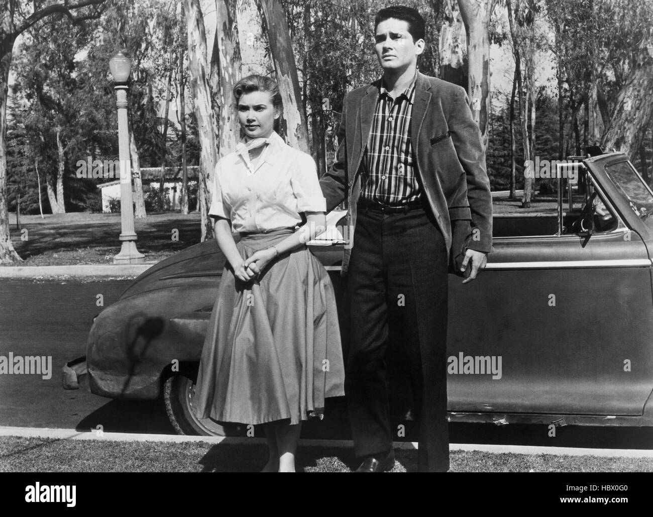 HIGH SCHOOL HELLCATS, Yvonne Lime, Brett Halsey, 1958 Stock Photo - Alamy