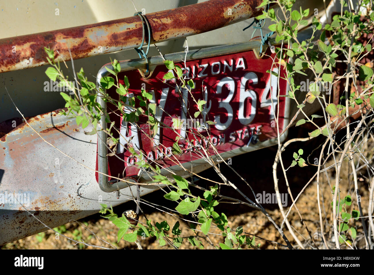 Car licence plate hi-res stock photography and images - Alamy