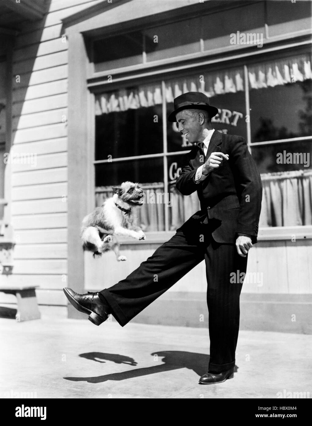 HIGH SIERRA, from left: Pard the dog, Humphrey Bogart, 1941 Stock Photo ...