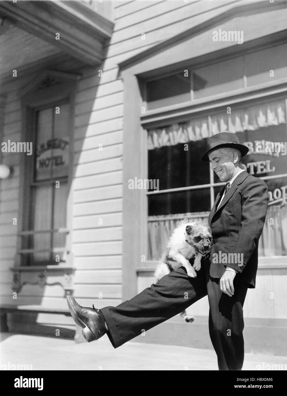 HIGH SIERRA, from left: Pard the dog, Humphrey Bogart, 1941 Stock Photo ...