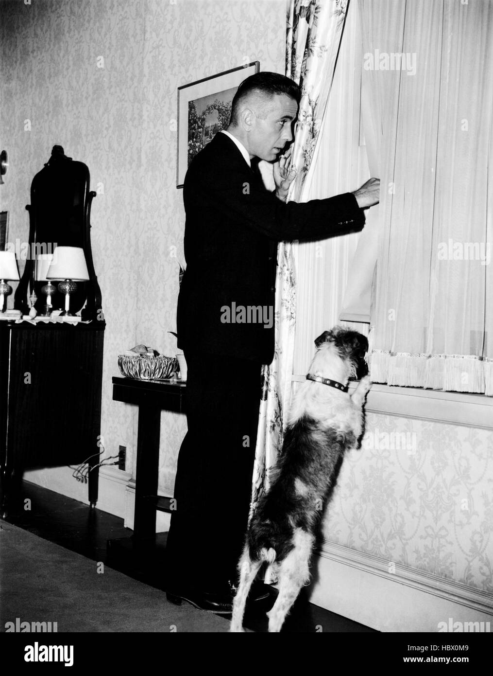 HIGH SIERRA, from left: Humphrey Bogart, Pard the dog, 1941 Stock Photo ...