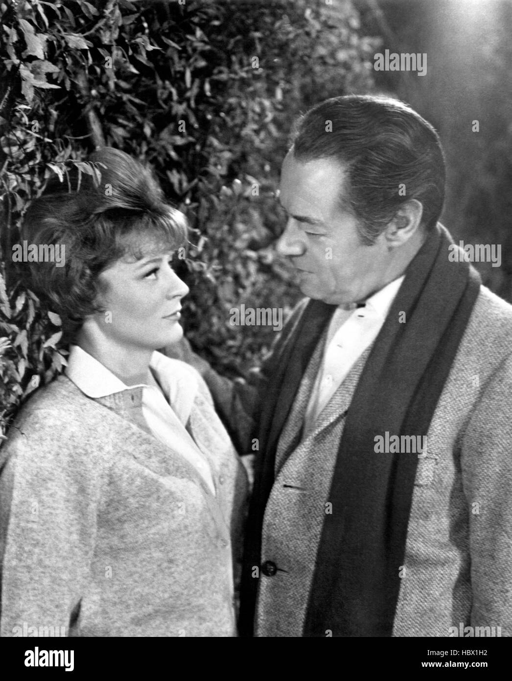 THE HONEY POT, l-r: Maggie Smith, Rex Harrison, 1967 Stock Photo - Alamy
