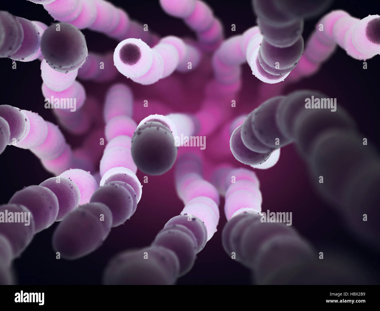 Streptococcus pneumoniae hi-res stock photography and images - Alamy