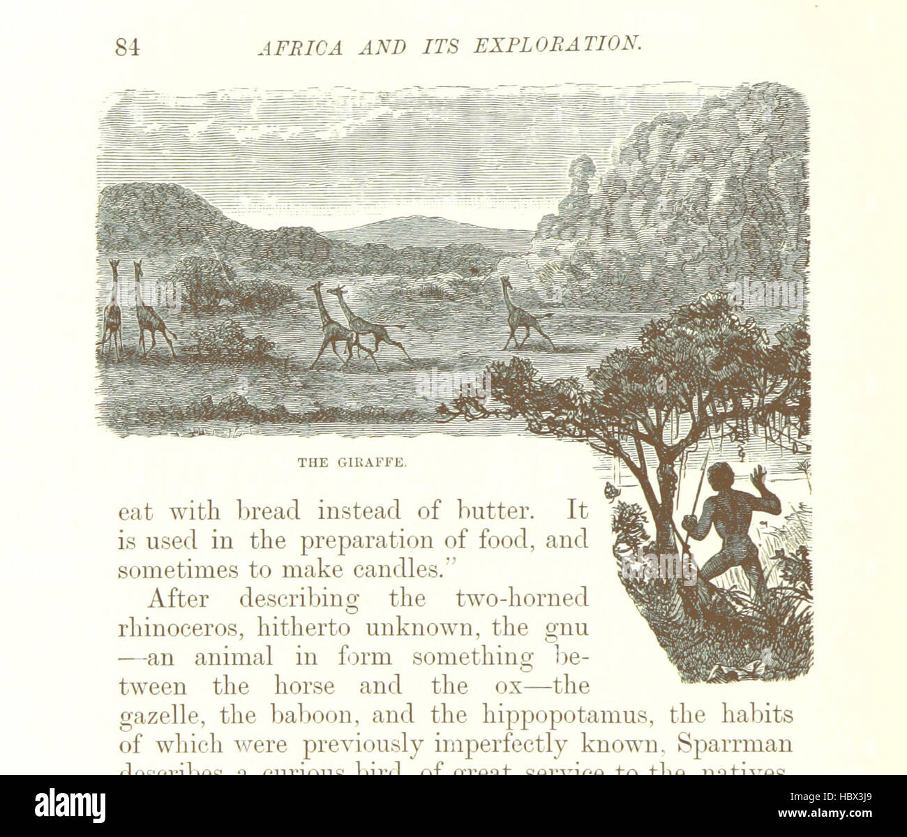 Great Explorers of Africa. With illustrations and map Image taken from ...