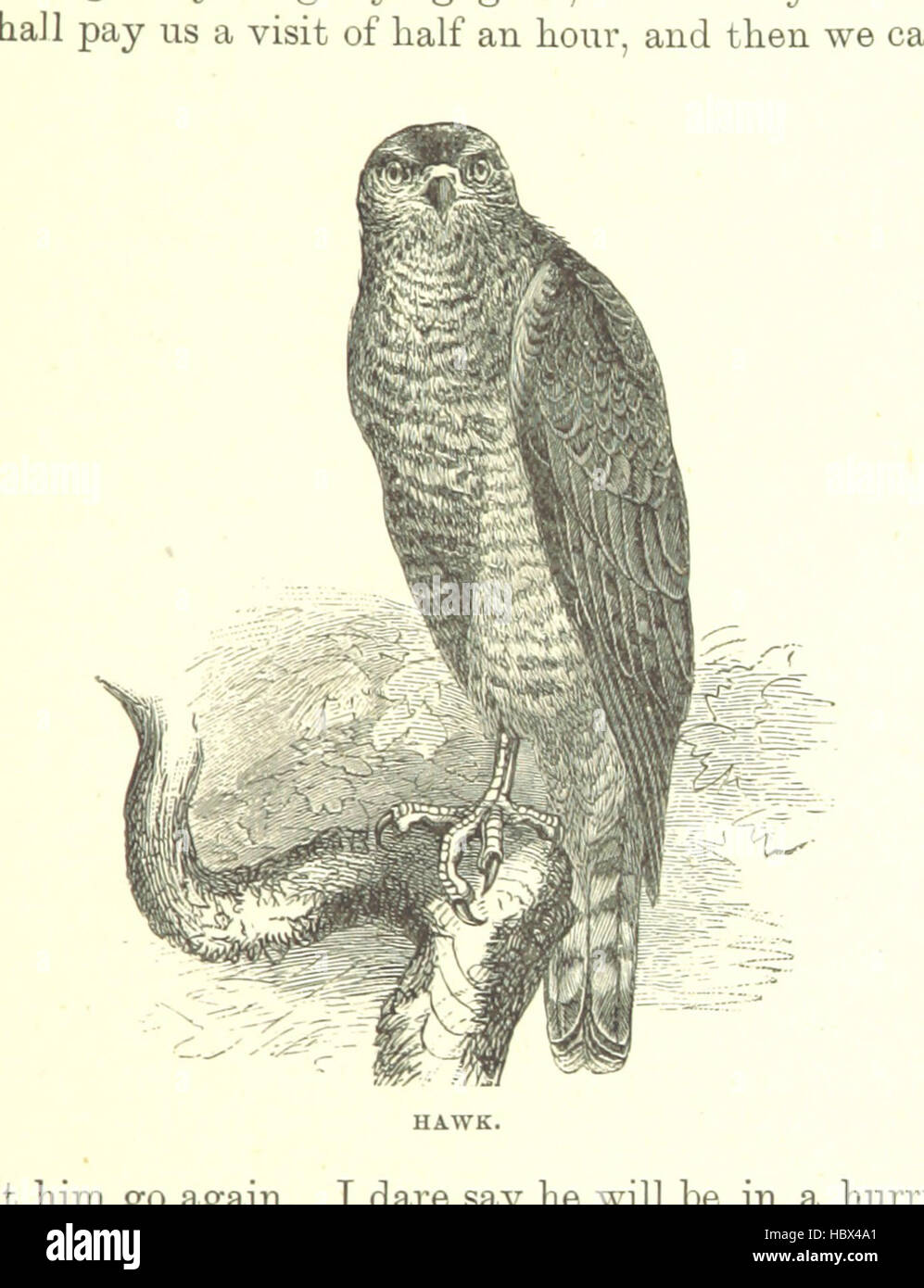 A Narrow, Narrow World Image taken from page 163 of 'A Narrow, Narrow ...