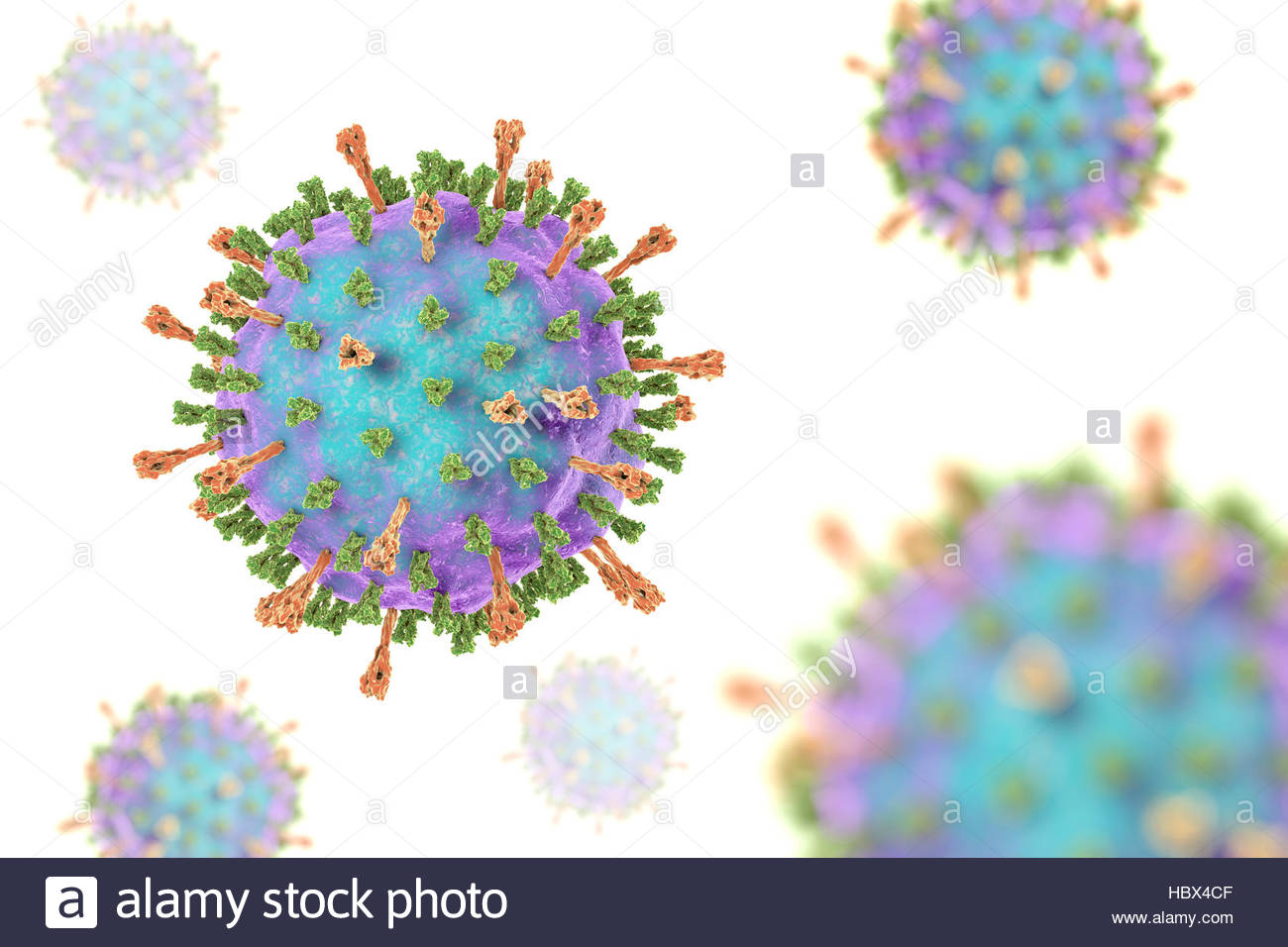 Salivary Glands Stock Photos & Salivary Glands Stock Images - Alamy