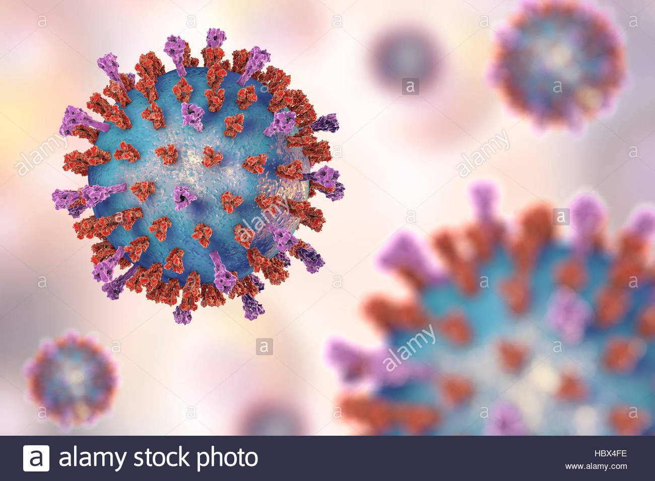 Pneumovirus Stock Photos & Pneumovirus Stock Images - Alamy