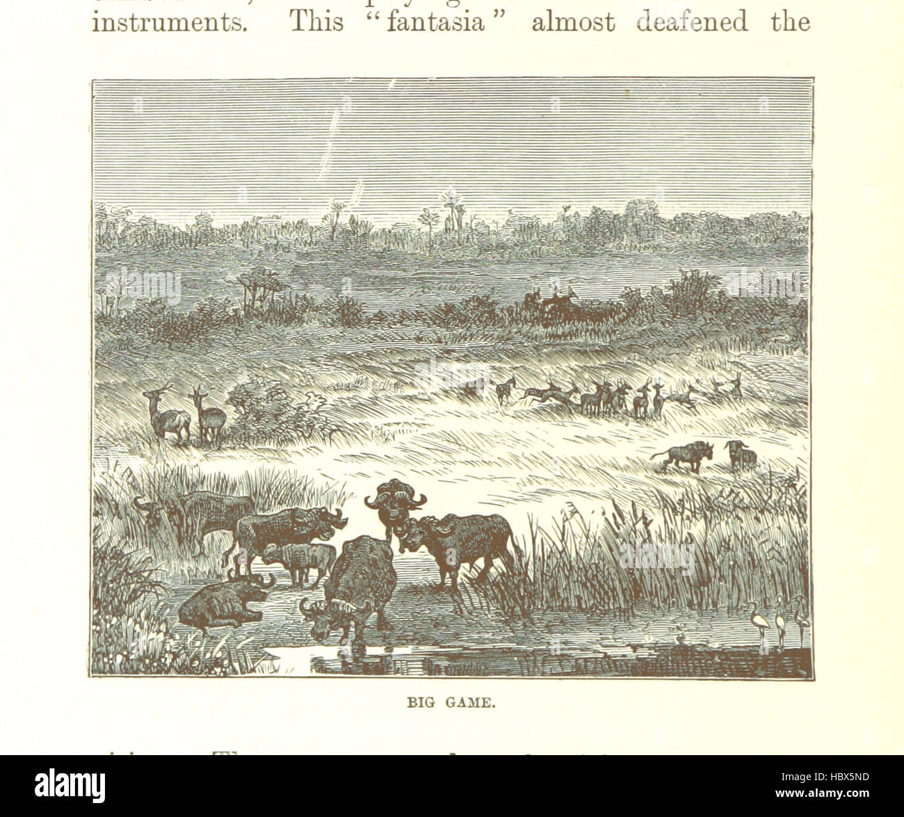 Great Explorers of Africa. With illustrations and map Image taken from ...