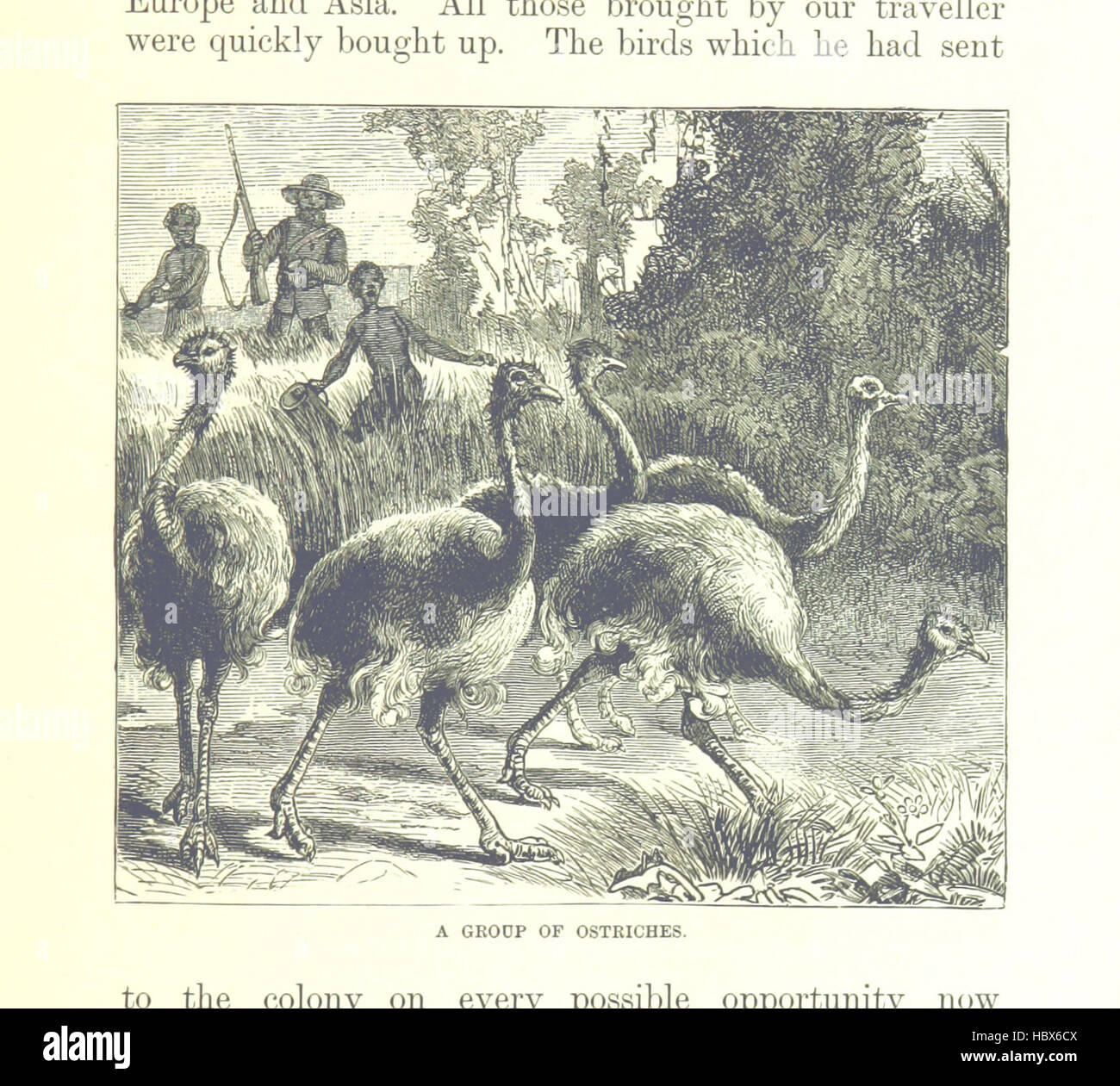 Image taken from page 103 of 'Great Explorers of Africa. With ...