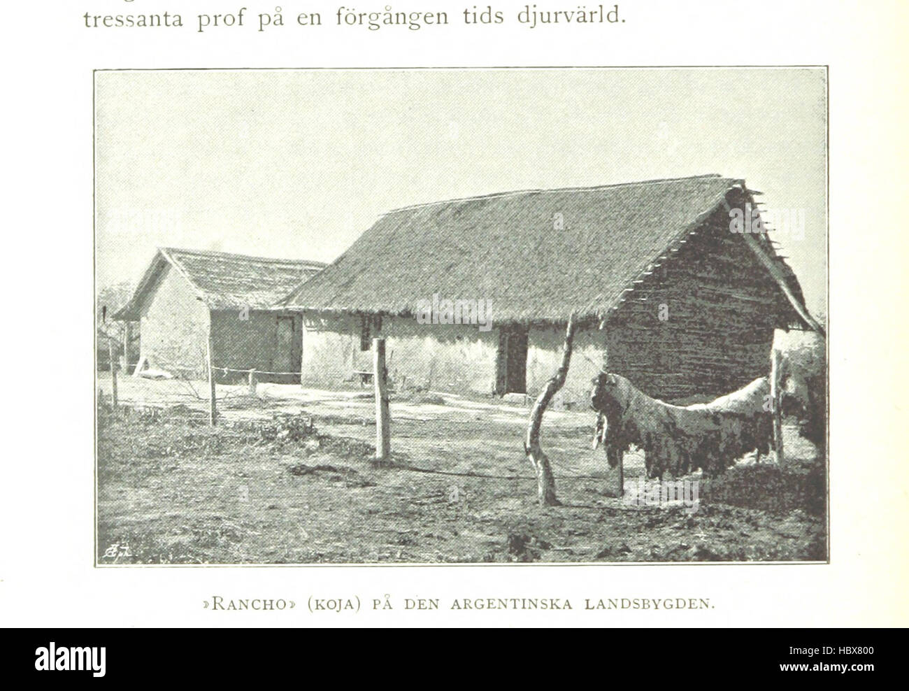 Eldslandet skildringar den svenska expeditionen hi-res stock ...