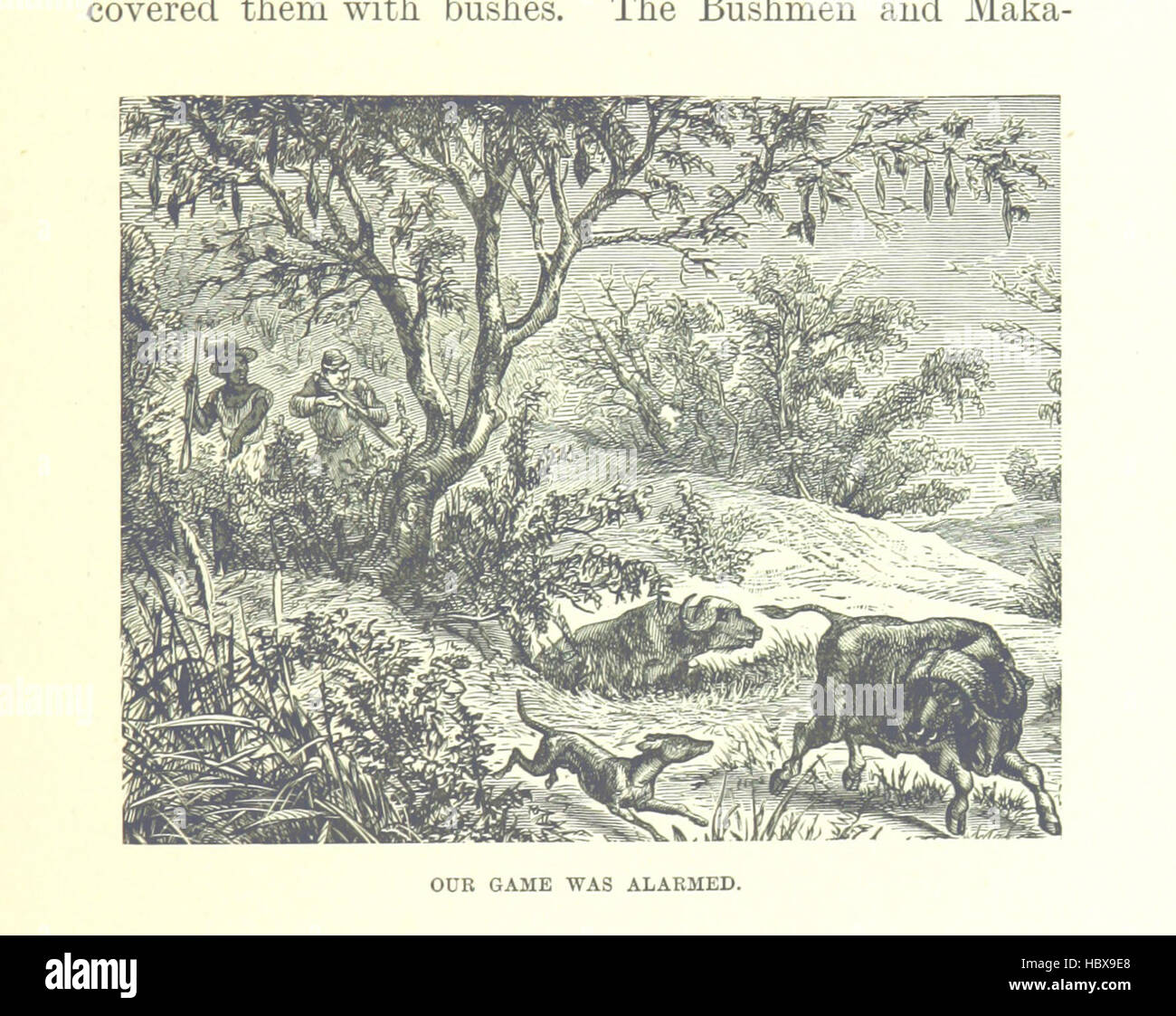Great Explorers of Africa. With illustrations and map Image taken from ...